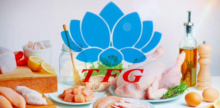 TFG ยอดขายเนื้อไก่-สุกรพุ่ง ดัน Q3 พลิกกำไร 1.2 พันล้านบาท