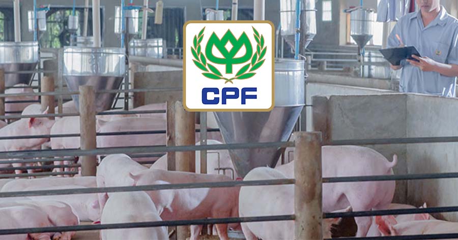CPF ทุ่ม 9.9 พันลบ. ซื้อกิจการฟาร์มหมูรัสเซีย คาดปิดดีลม.ค.65
