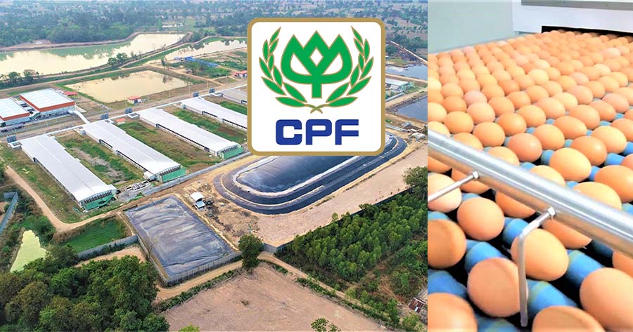 CPF Applies Circular Economy Principles for Sustainable Egg Production