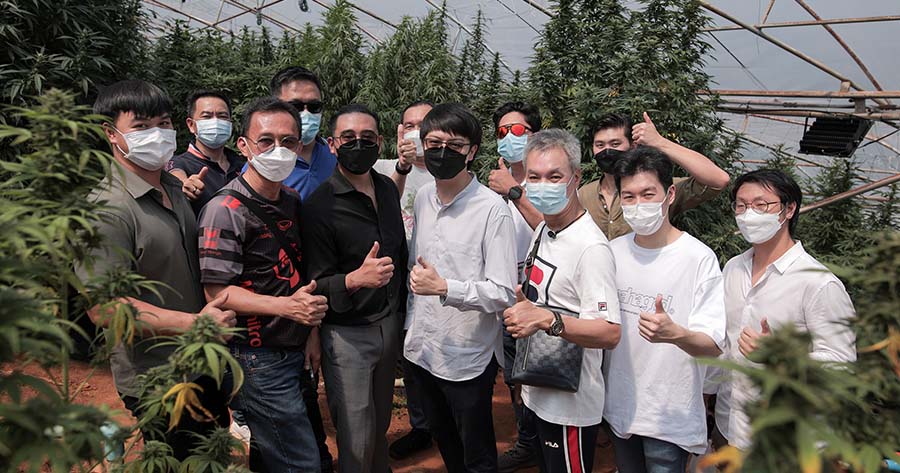 ALPHAX ต้อนรับ “สื่อมวลชน” เยี่ยมชมไร่กัญชง “MJB Farm” เชียงใหม่