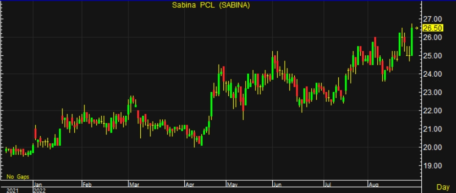 SABINA พุ่งแรง 6% นิวไฮรอบ 2 ปี โบรกแนะซื้อเป้า 29 บ. คาดปี 65 กำไรโต 36%