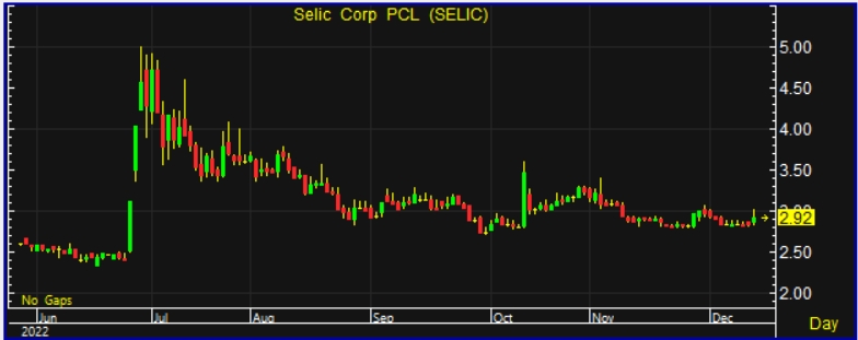 SELIC เด้ง 3% ย้ำเป้ารายได้ปีนี้โต 15% ปี 66 ลุ้นทะลุ 2 พันล้าน