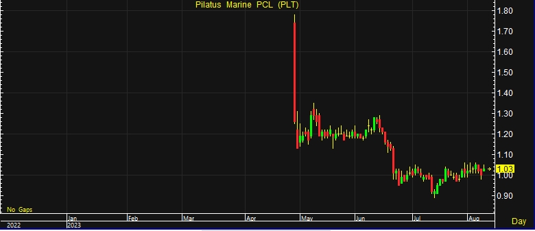 PLT ดีด 3% รับกำไรครึ่งแรกปี 66 โต 36% เคาะปันผล 0.06 บาท ขึ้น XD 23 ส.ค.นี้