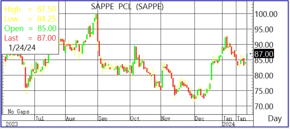 SAPPE ดีด 3% ลุ้นไตรมาส 4 กำไรนิวไฮ มั่นใจยอดขายปี 67 โต 25%