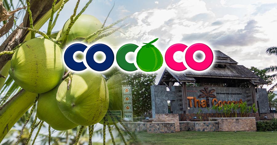 COCOCO ทุ่มงบ 250 ล้าน สร้างคลังสินค้ากึ่งอัตโนมัติ รองรับผลิตภัณฑ์ “มะพร้าว”